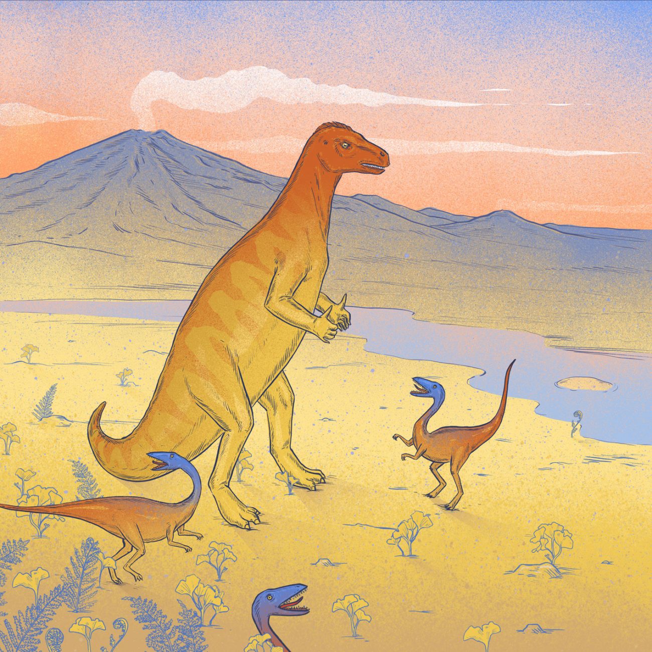 Nina Torr – Portfolio