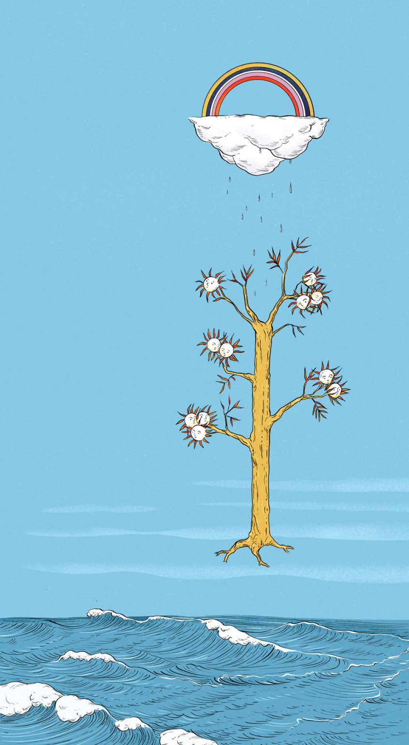 2021 Illustrations – Nina Torr